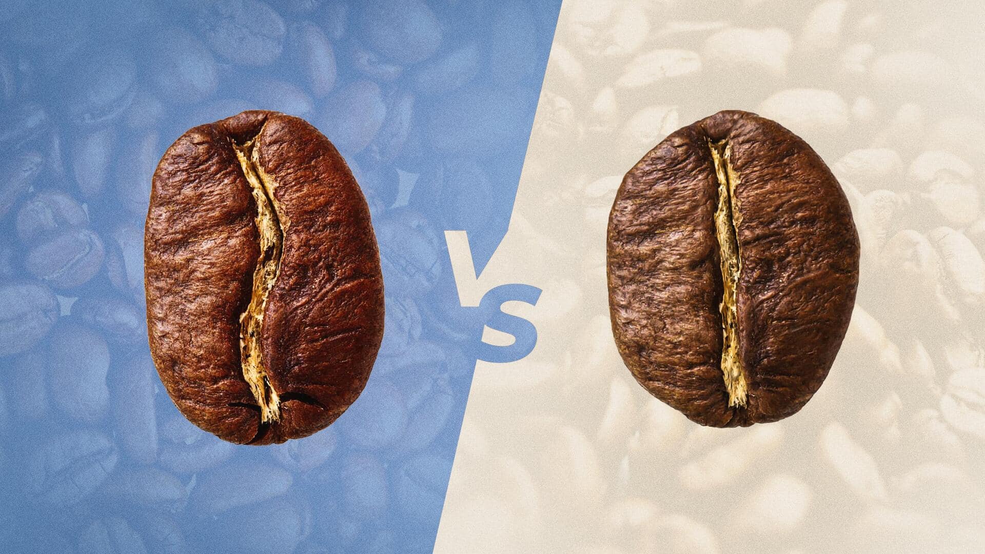 Arabica vs. Robusta: Growing Conditions and Flavor Profiles – Bean Burst